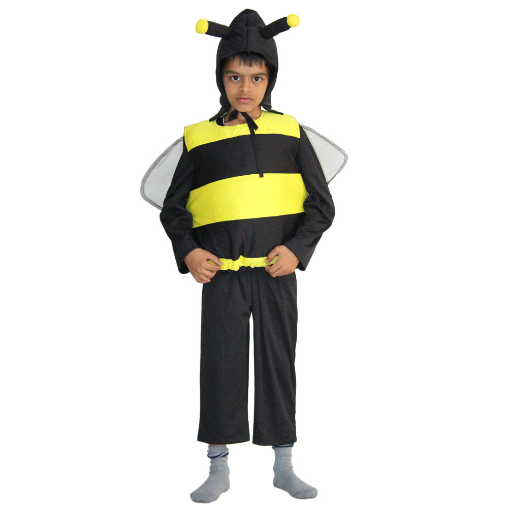 Honey Bee Costume Rental in Udaipur | Fancyano